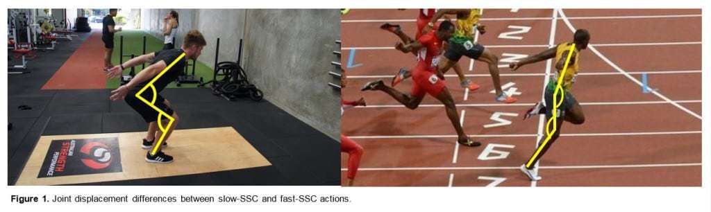 Rate of Force Development (RFD)