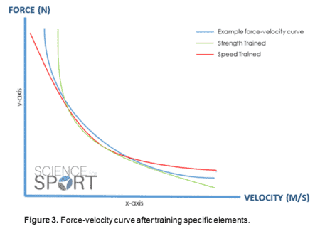Force-Velocity Curve