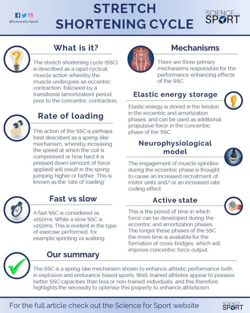 Stretch Shortening Cycle Science For Sport
