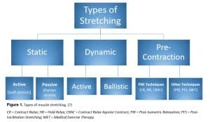 Post-Exercise Stretching