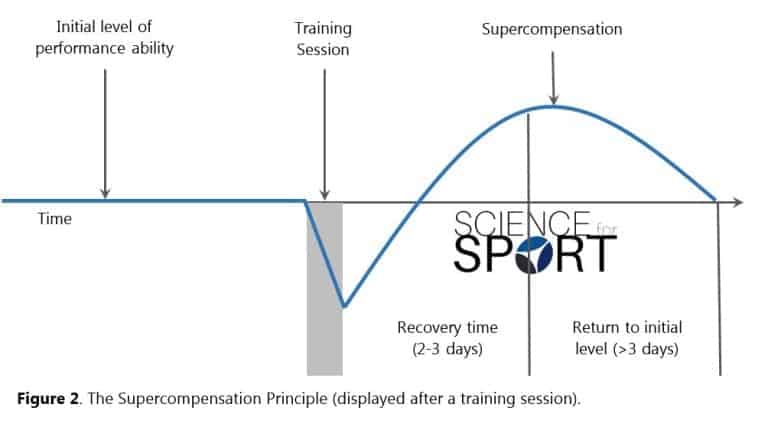 Post-Exercise Stretching