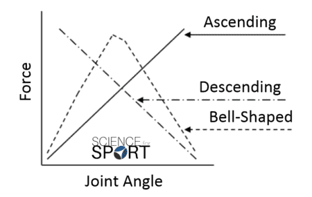 Chain-Resistance Training