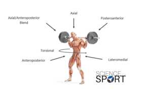 Force-Vector Training