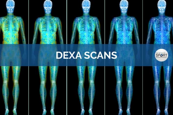 Dual-energy X-ray Absorptiometry (DEXA) Scans | Science for Sport