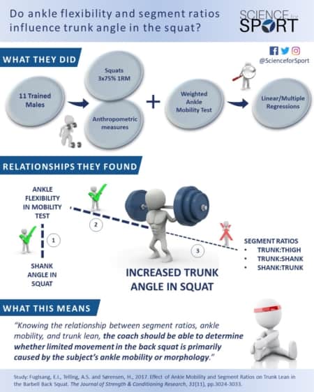 Ankle Mobility and Segment Ratios in Squats | Science for Sport