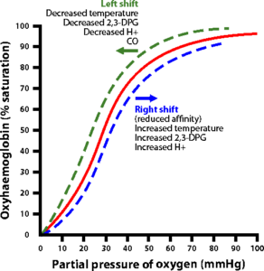 Altitude Training Masks | Do they work?