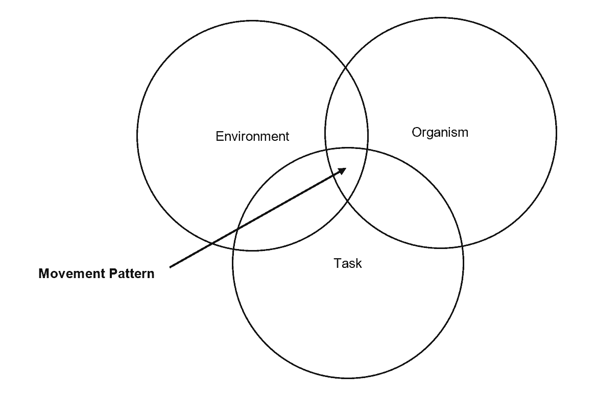 Skill Acquisition Science For Sport Skill Acquisition Science For Sport