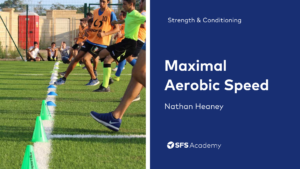 Strength & Conditioning Online Courses